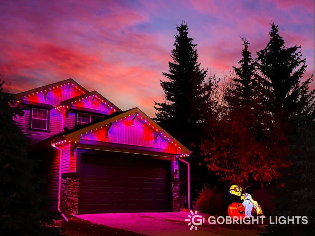 Gallery - GoBright Lights